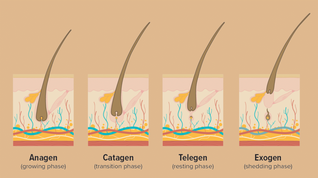 How to Know If Your Hair Is Growing? Signs to Look For - Belle De Couture